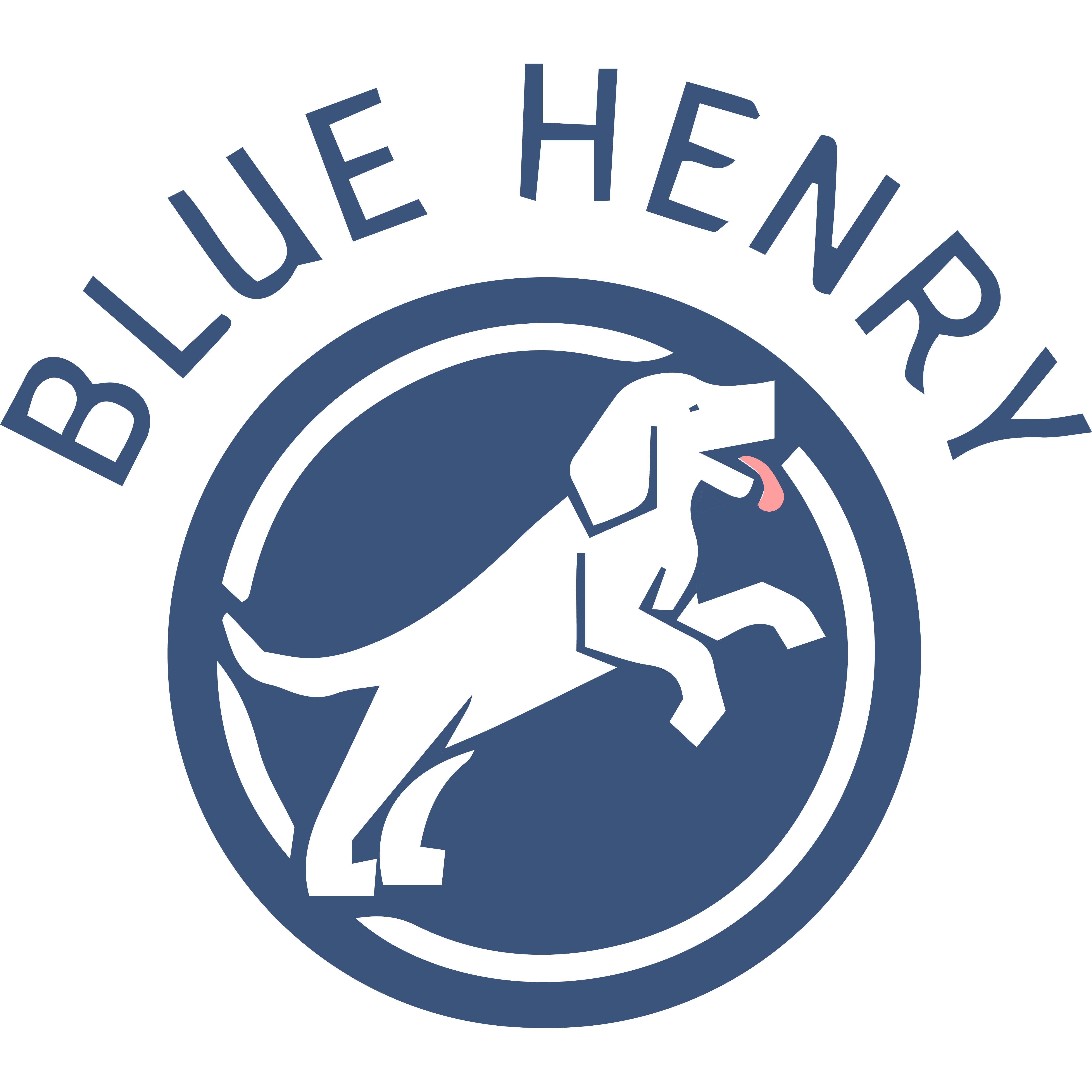 Bulk Ordering - BlueHenry